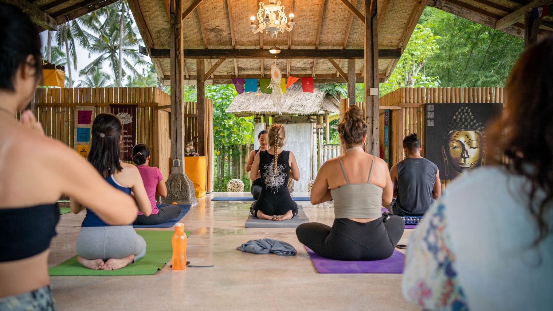 7 Days Pure Yoga Wellness - One Fit Wellness